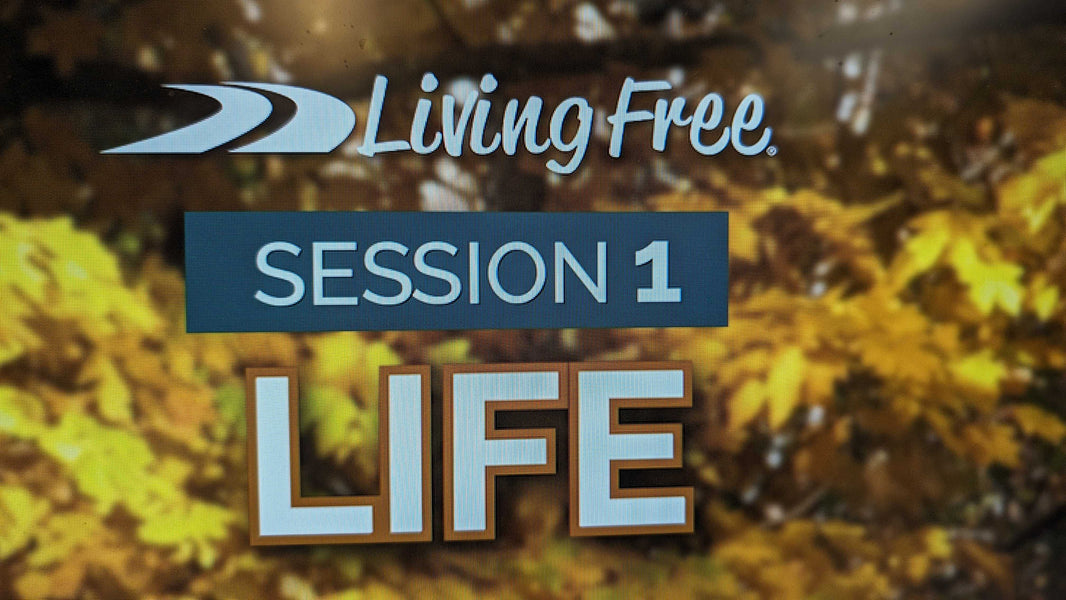 Leader Training – Living Free